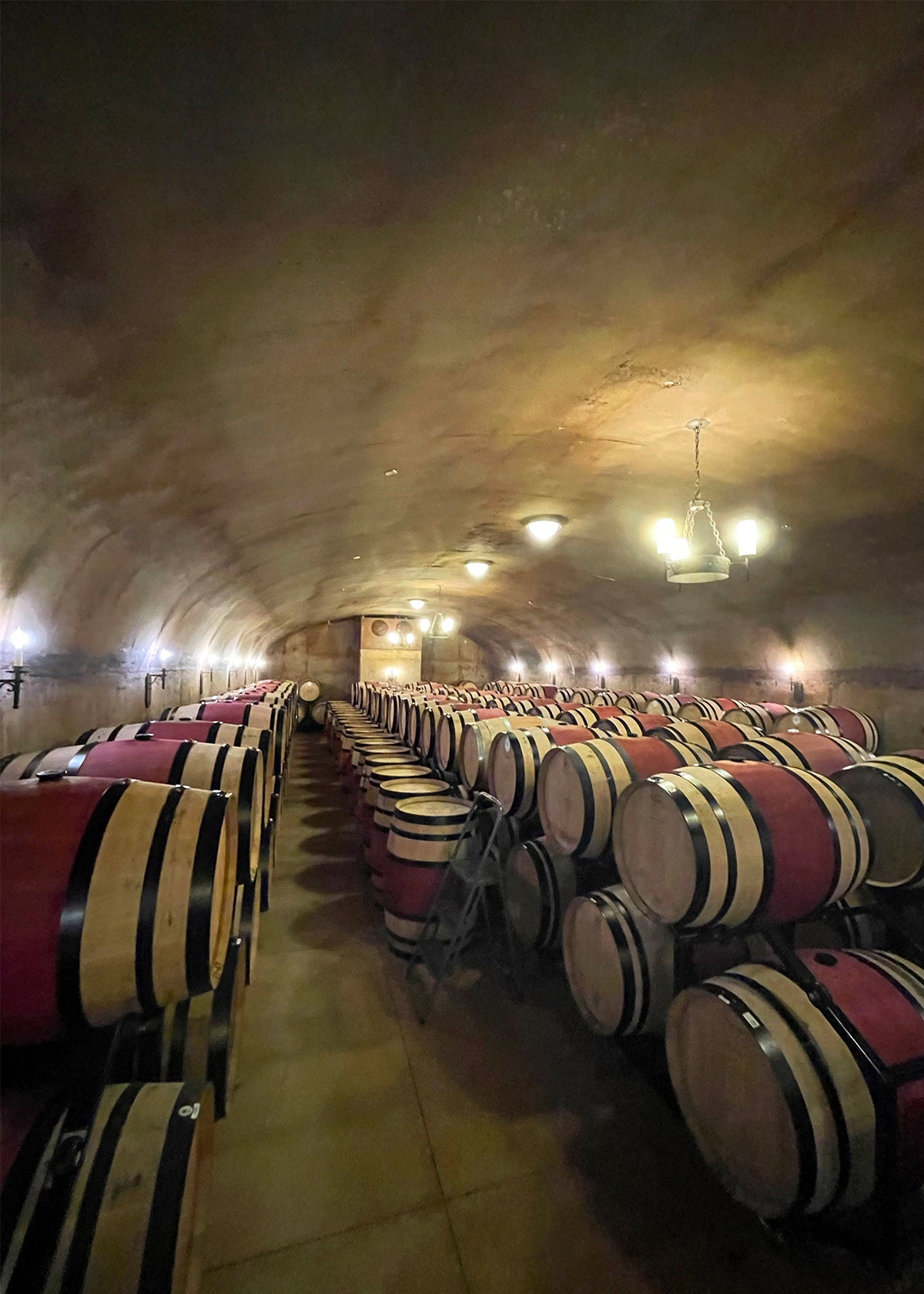 Barrel Racks for Wine, Beer, Spirits & Cider | BarrelHive